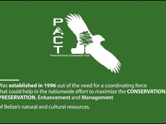 What is the Future of PACT? | Greater Belize Media