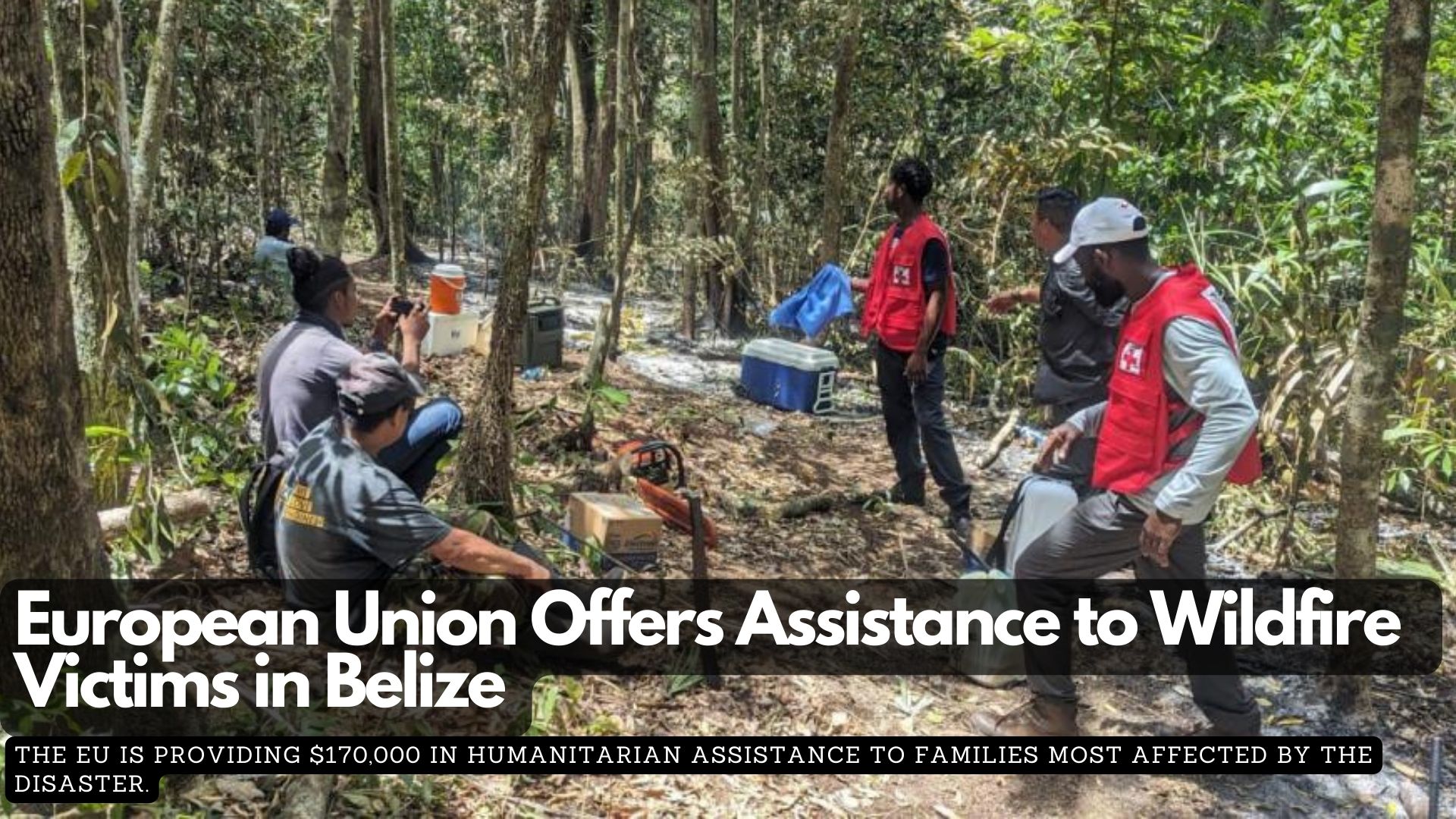 EU Provides Aid to Wildfire Victims in Belize | Greater Belize Media