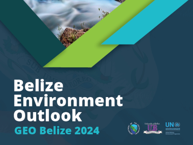 Belize Completes Snapshot Report on State of Environment | Greater ...