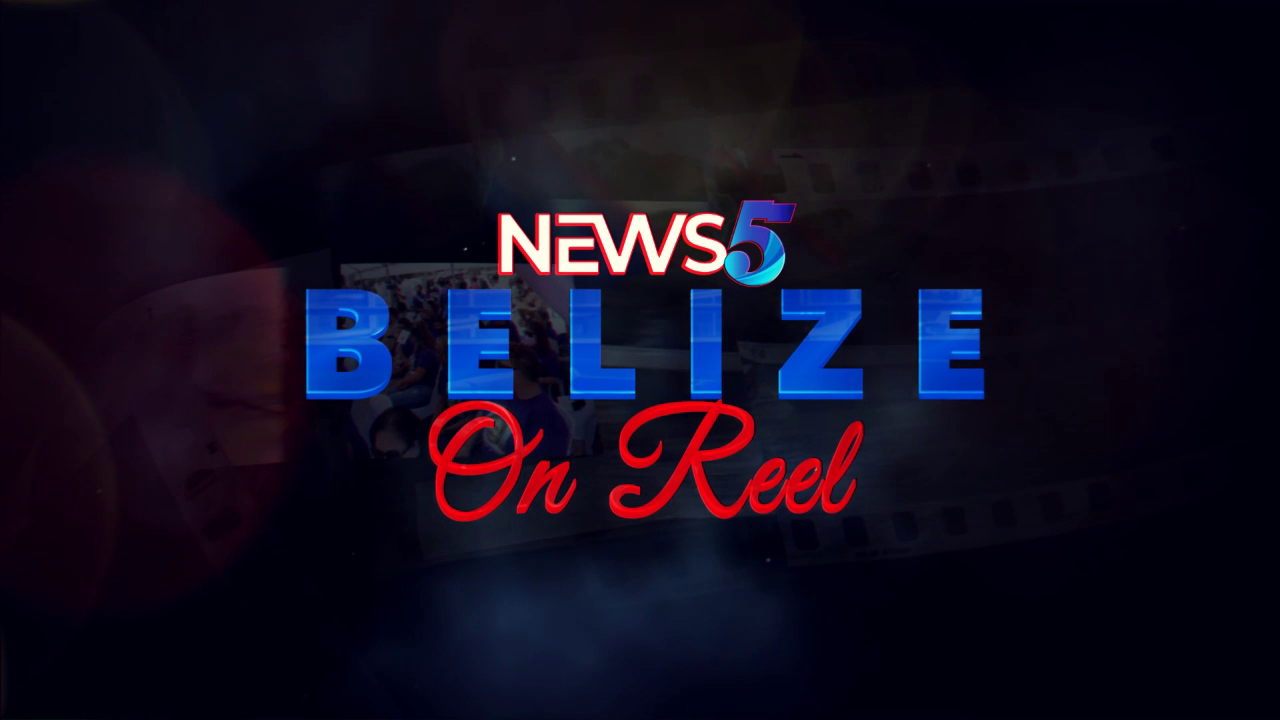 Important Forest Corridor In Belize Facing Increasing Deforestation ...
