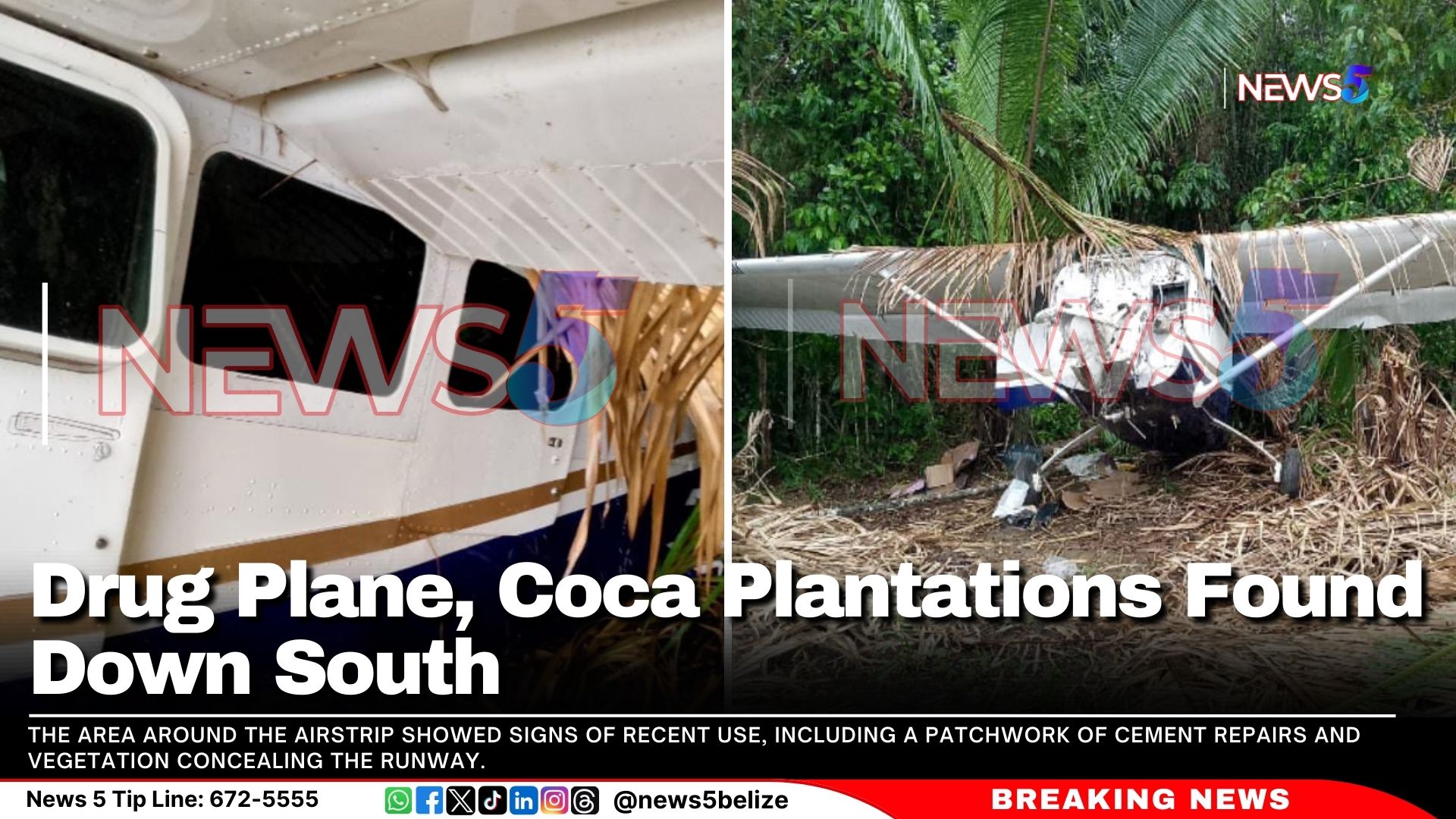 Drug Plane, Coca Plantations Found Down South | Greater Belize Media