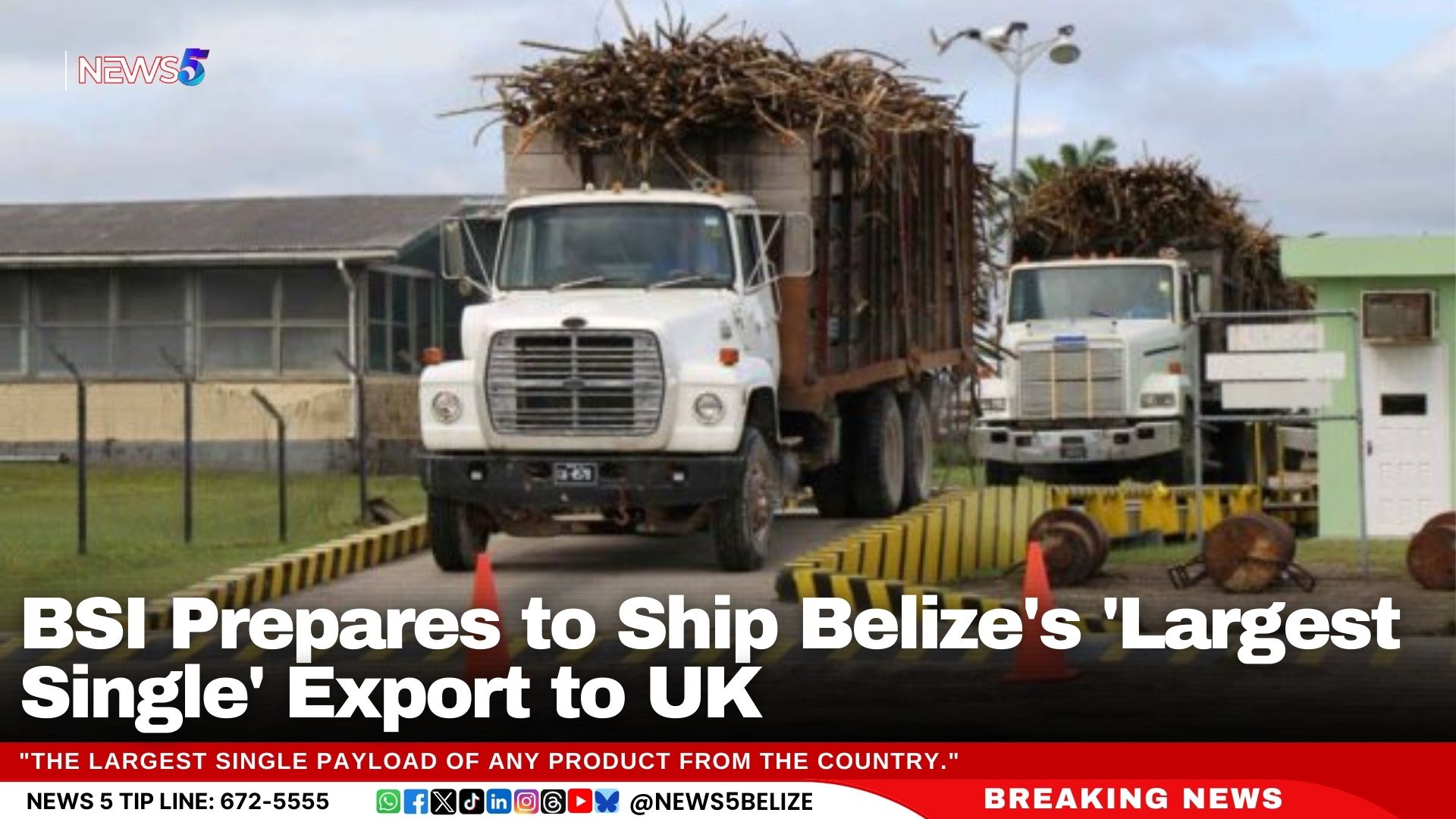 BSI Prepares to Ship Belize’s ‘Largest Single’ Export to UK | Greater ...