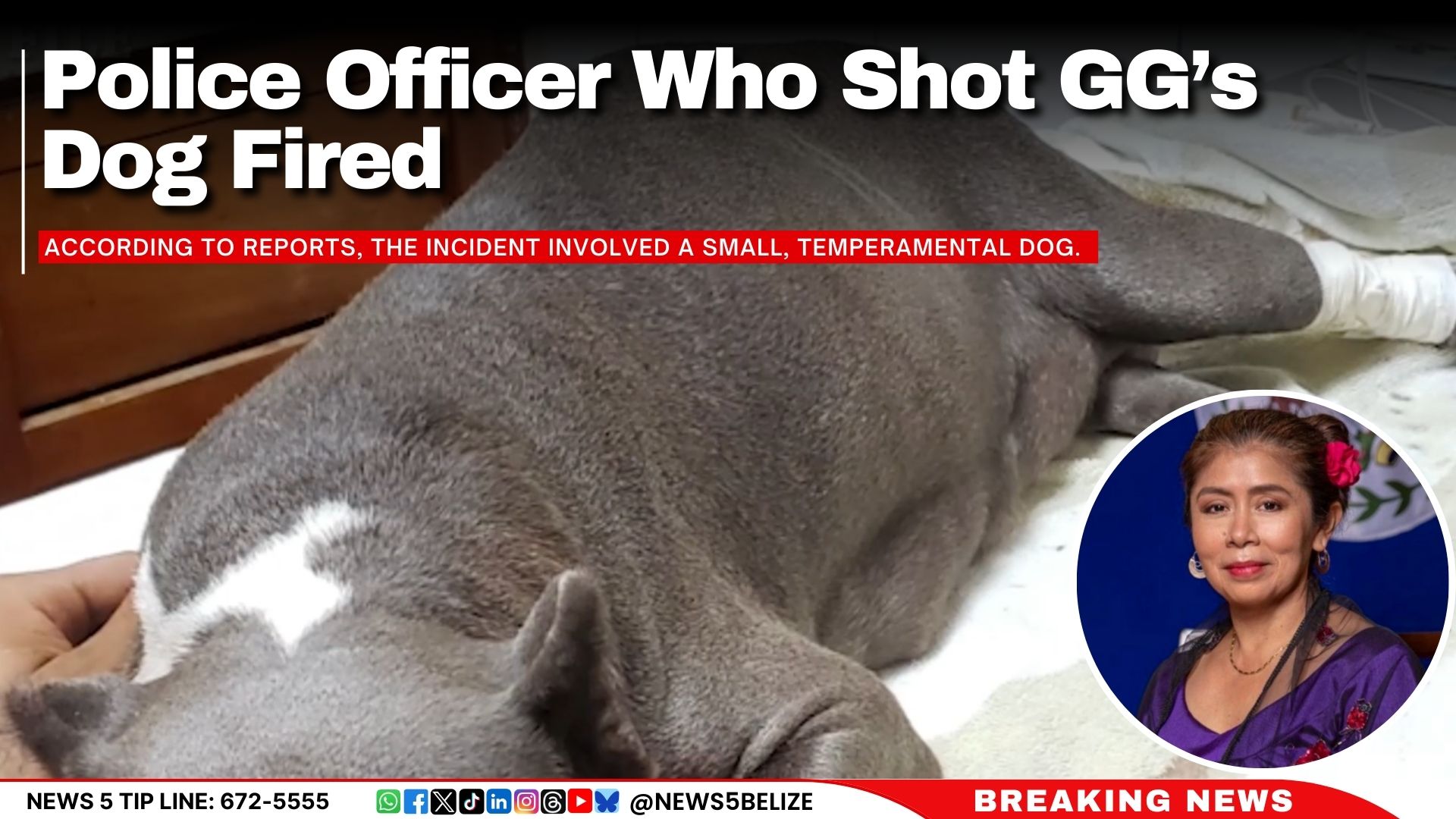 Police Officer Who Shot GG’s Dog Fired | Greater Belize Media