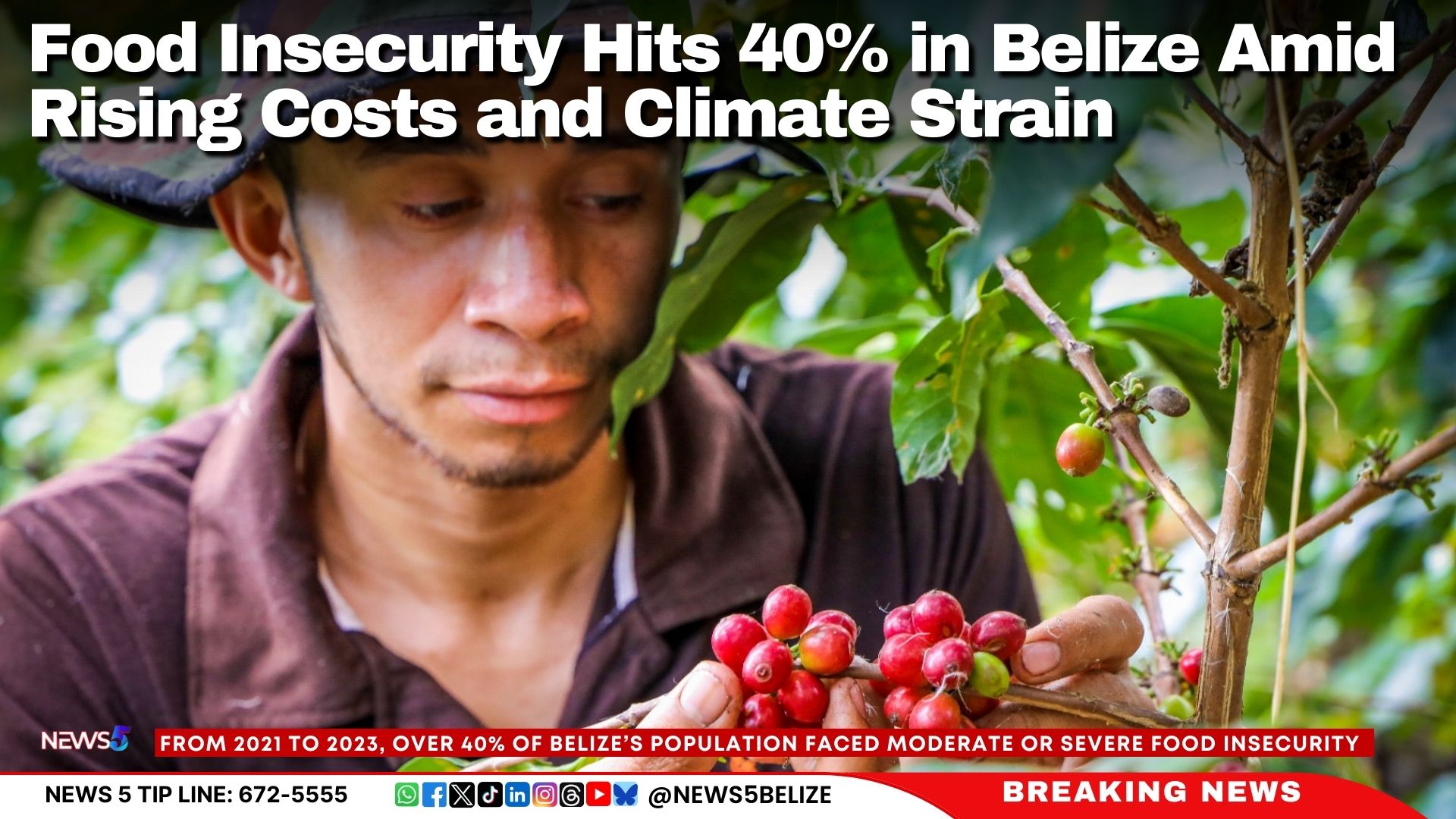 Food Insecurity Hits 40% in Belize Amid Rising Costs and Climate Strain | Greater Belize Media