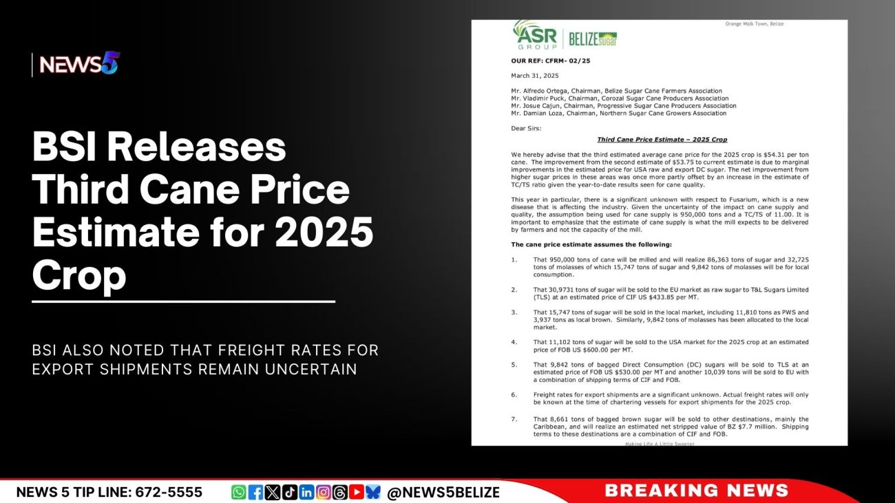BSI Releases Third Cane Price Estimate for 2025 Crop - Greater Belize Media