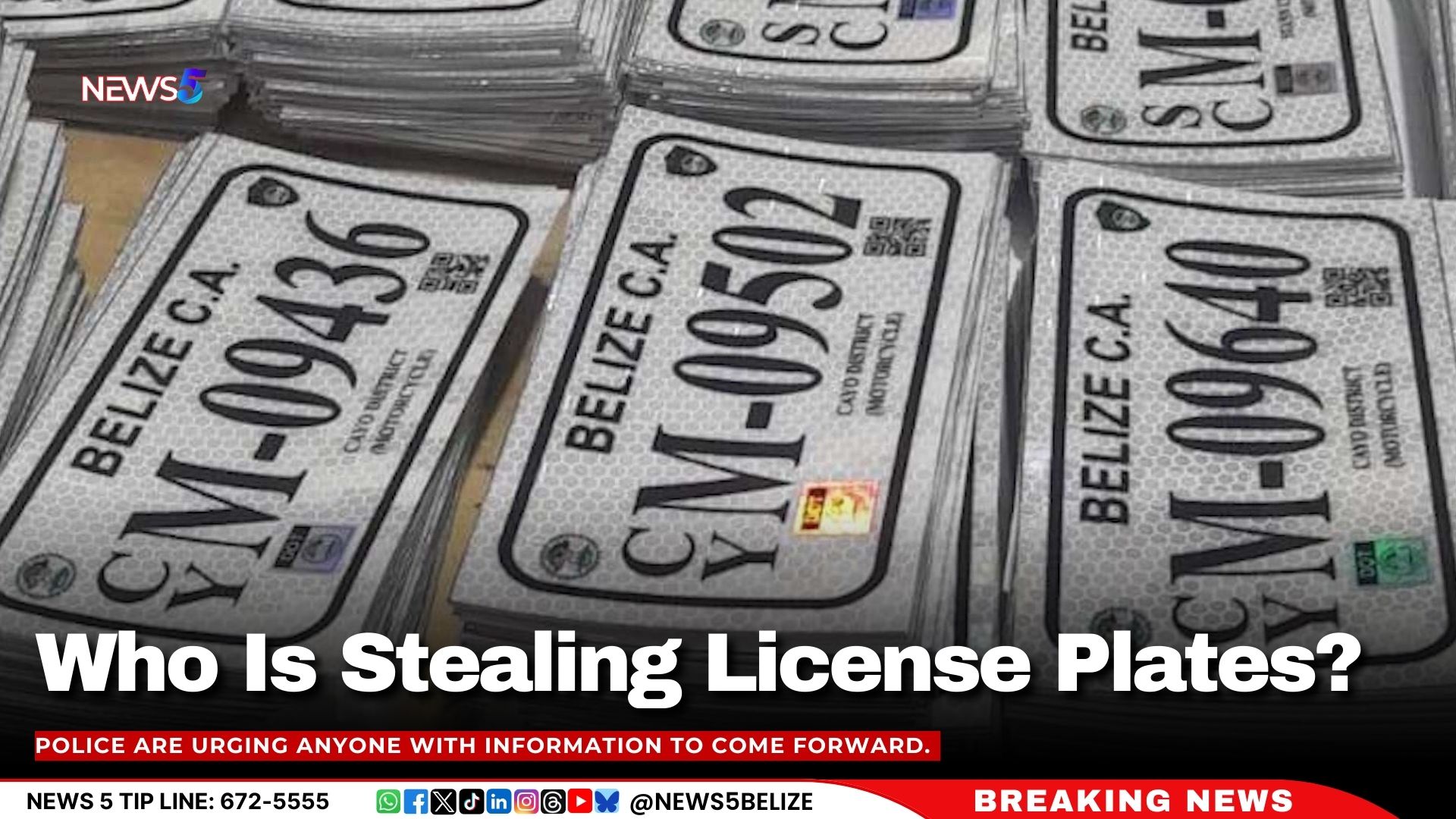 Who Is Stealing License Plates? - Greater Belize Media