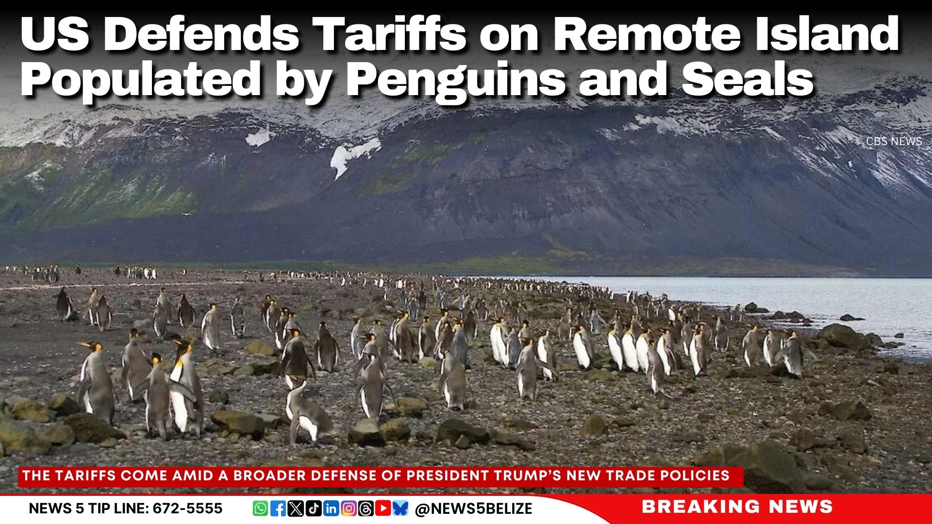 US Defends Tariffs on Remote Island Populated by Penguins and Seals ...