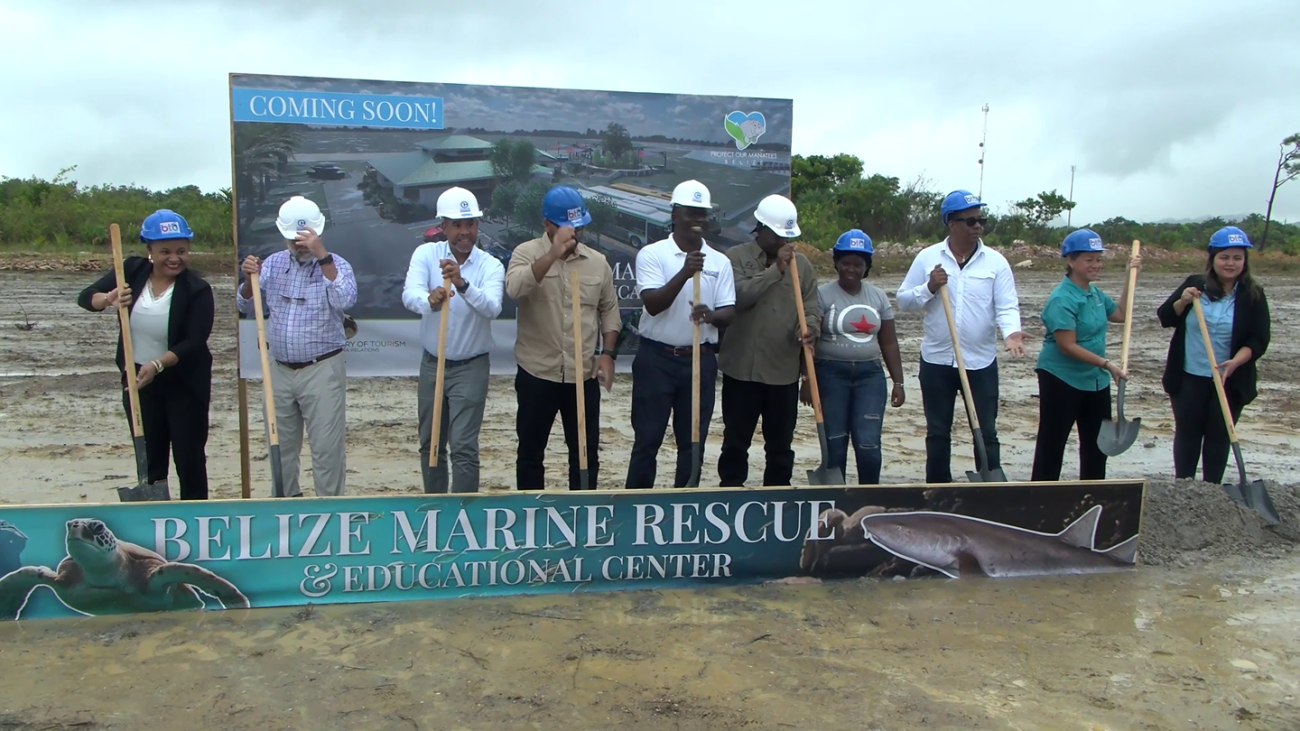 Belize Marine Rescue and Educational Center Soon to be a Reality ...