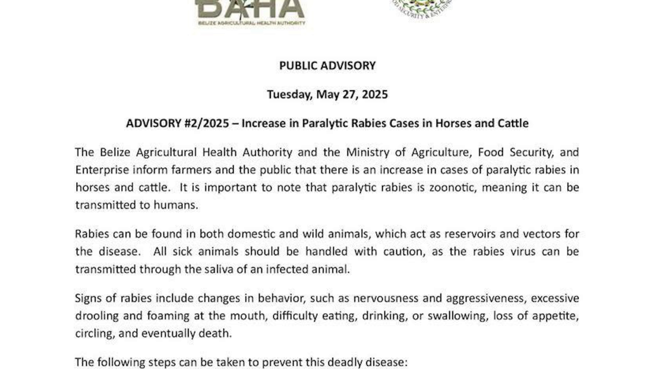 Paralytic Rabies in Horses and Cattle on the Rise - Greater Belize Media